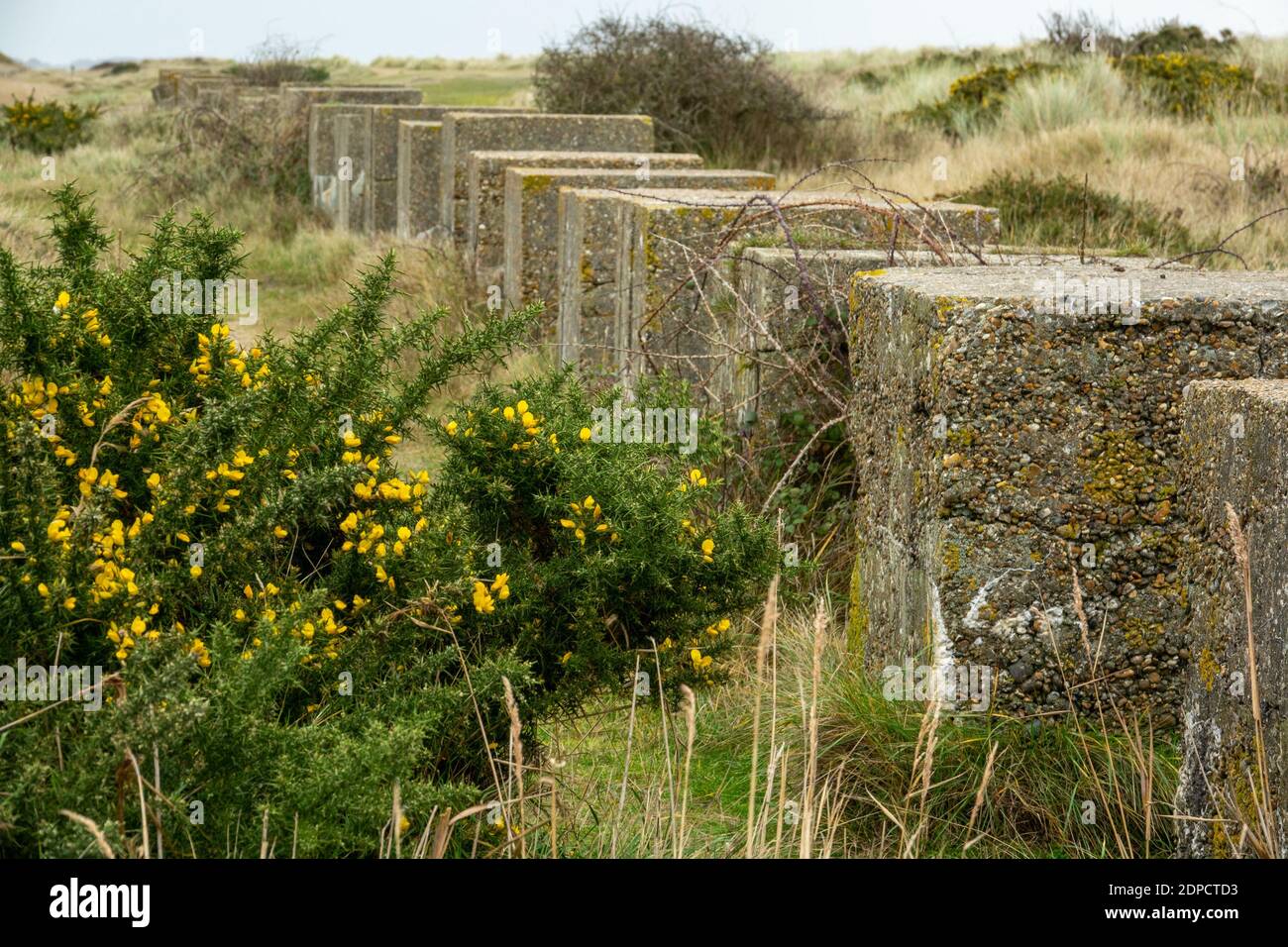 lines of anti-tank blocks, Minsmere, Concrete Military Tank Trap Stock ...