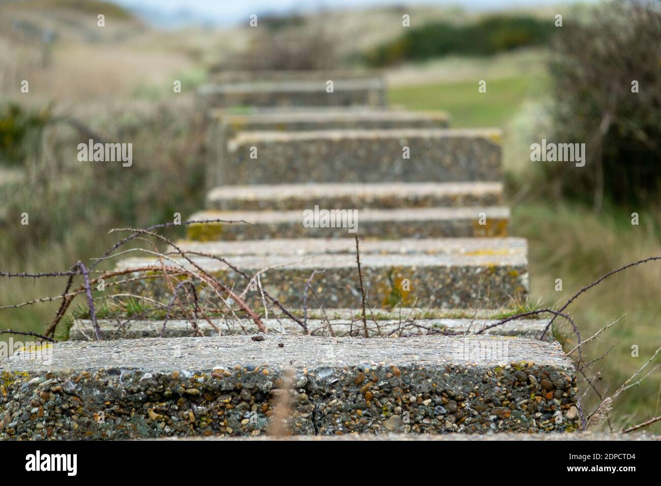 lines of anti-tank blocks, Minsmere, Concrete Military Tank Trap Stock ...