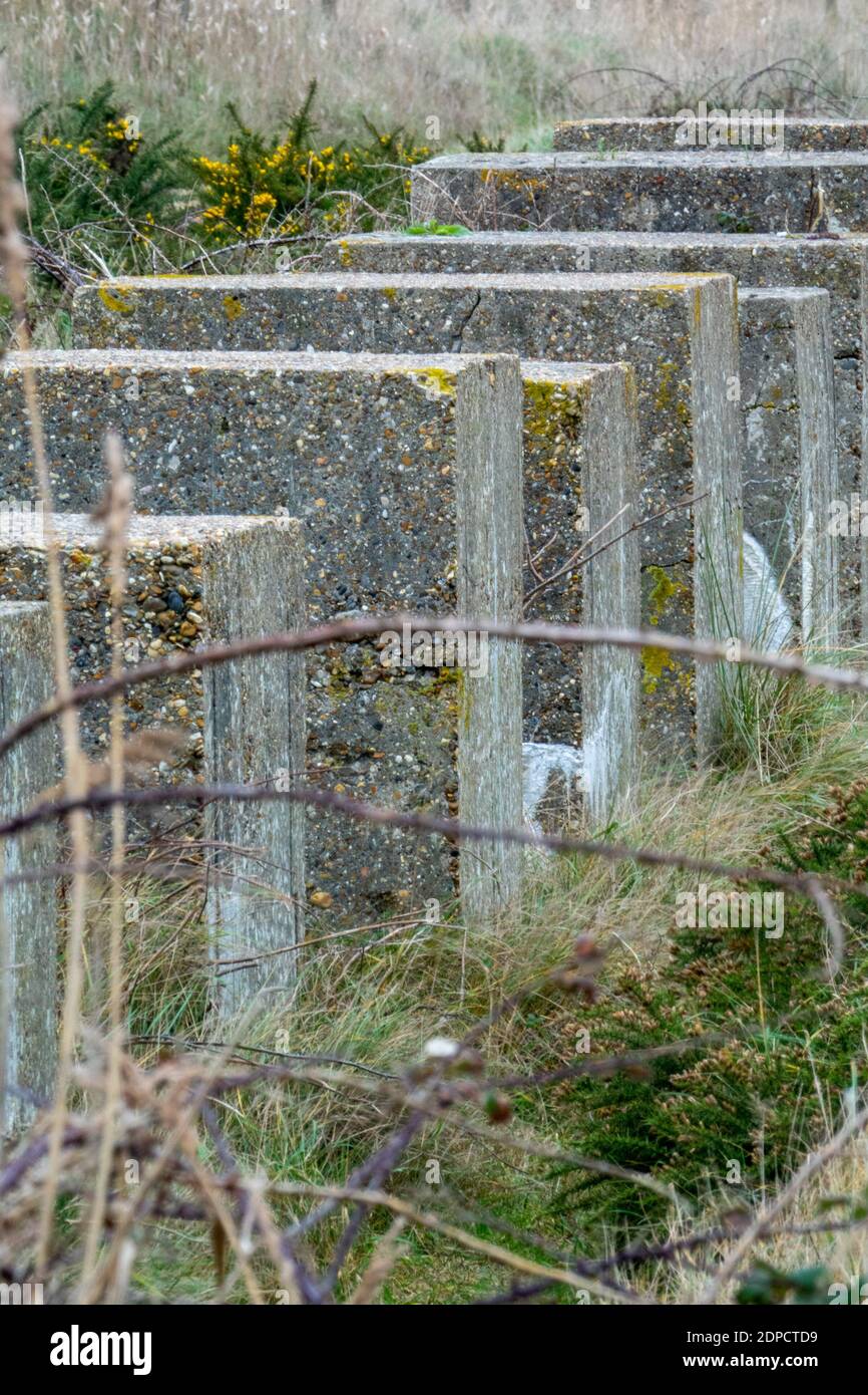 lines of anti-tank blocks, Minsmere, Concrete Military Tank Trap Stock ...