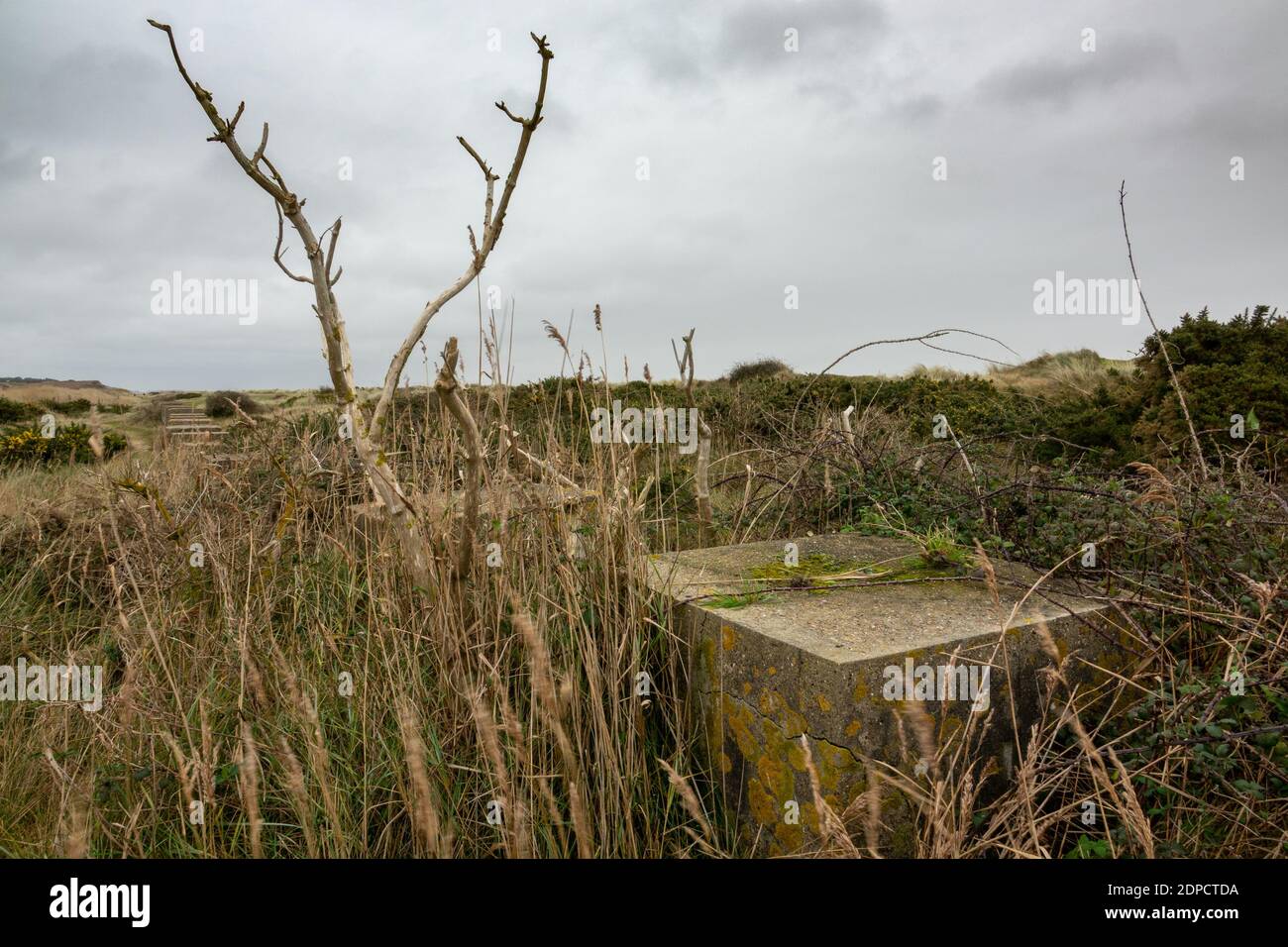 lines of anti-tank blocks, Minsmere, Concrete Military Tank Trap Stock ...