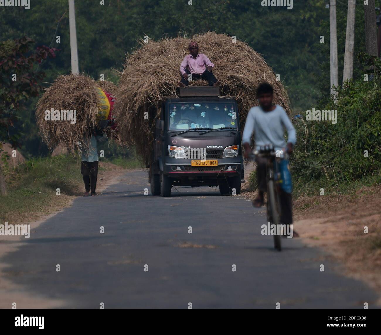 Transporting Rice India High Resolution Stock Photography and Images ...
