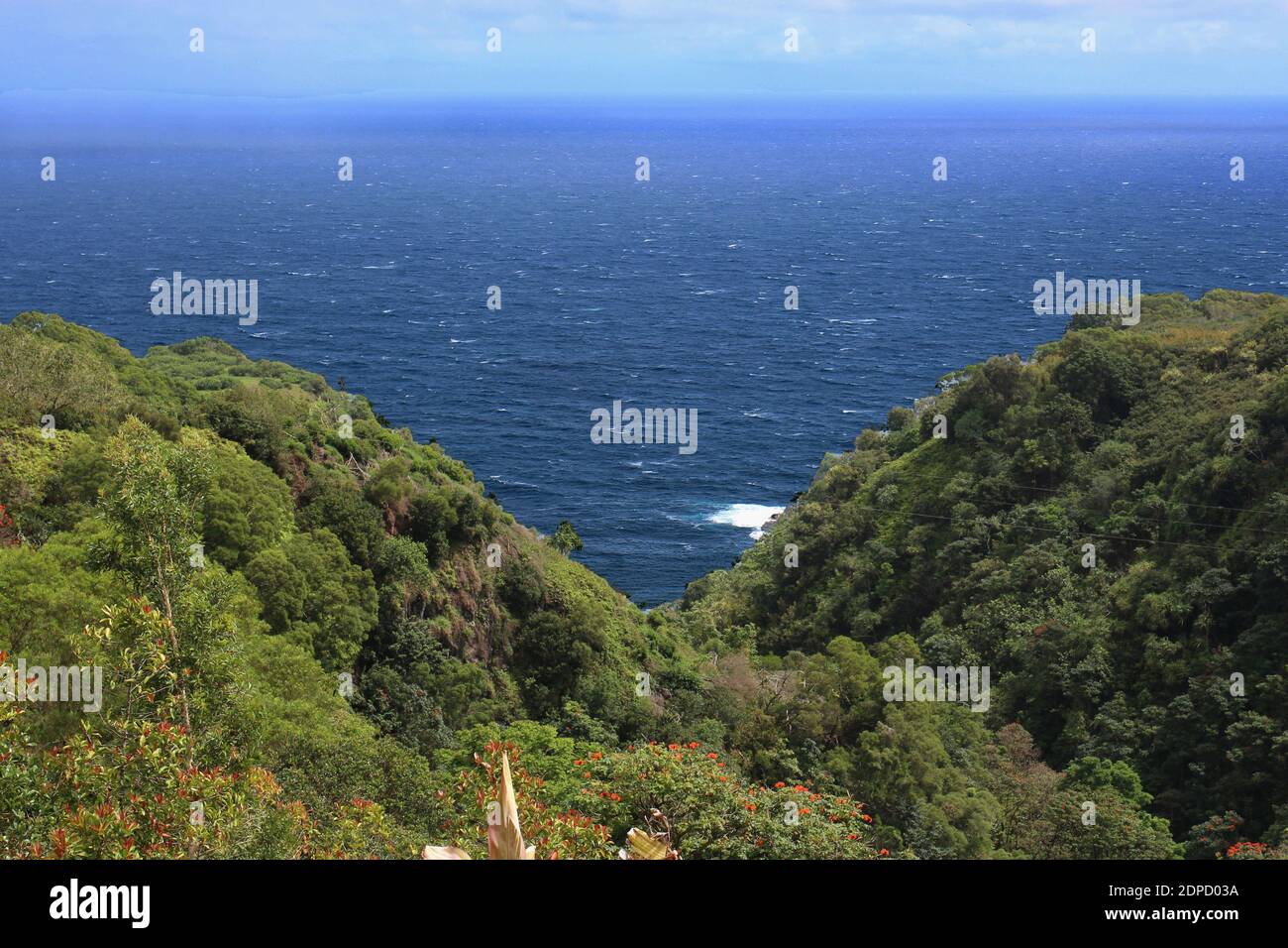 A scenic outlook overlooking a canopy of trees leading to the Pacific ...