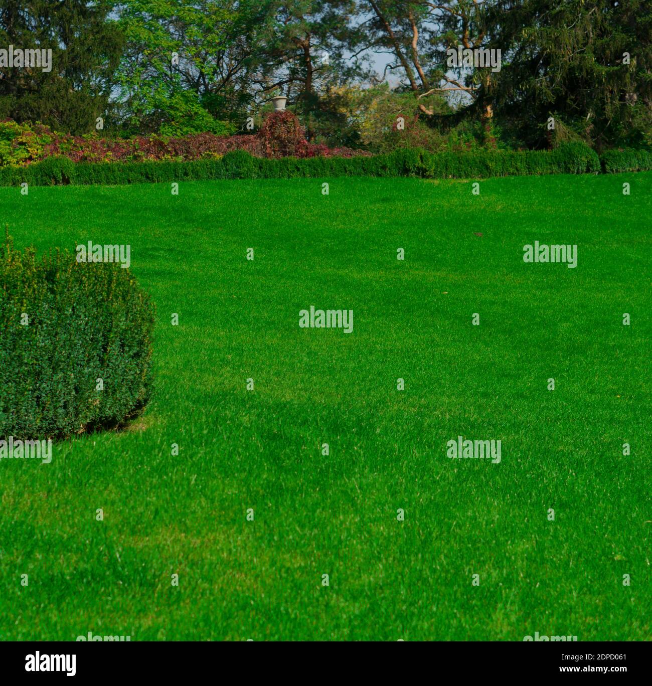 Landscape, green manicured lawn, and trees in the background Stock ...