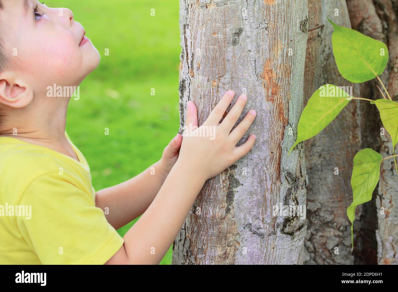 Boy Touching Tree Trunk High Resolution Stock Photography and Images ...