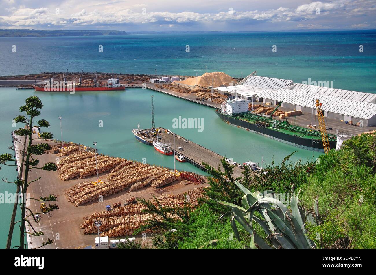 Logging ship in Napier Harbour, Napier, Hawke's Bay, North Island, New ...