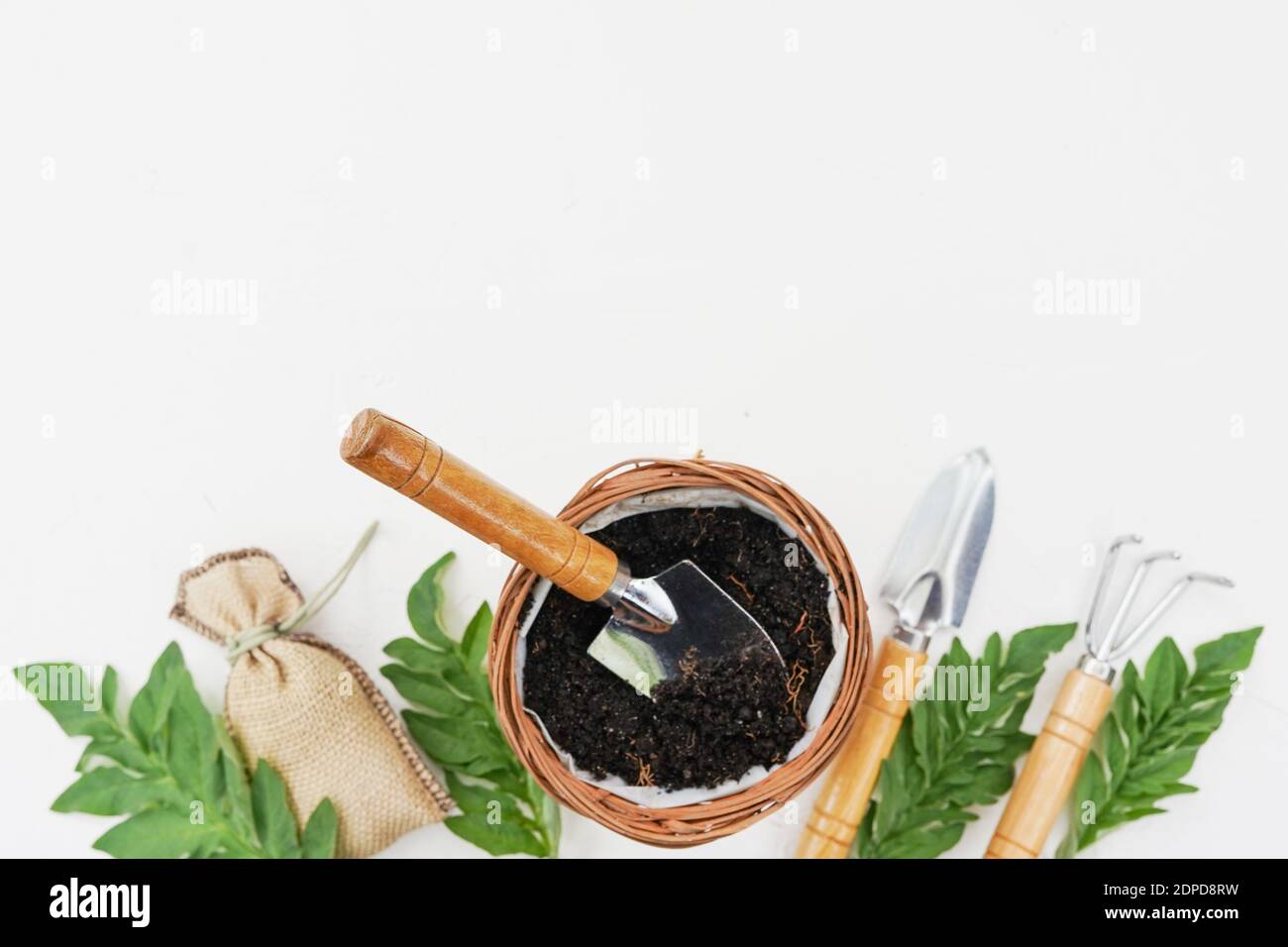 Plants and gardening tools on white background with copy space Stock ...