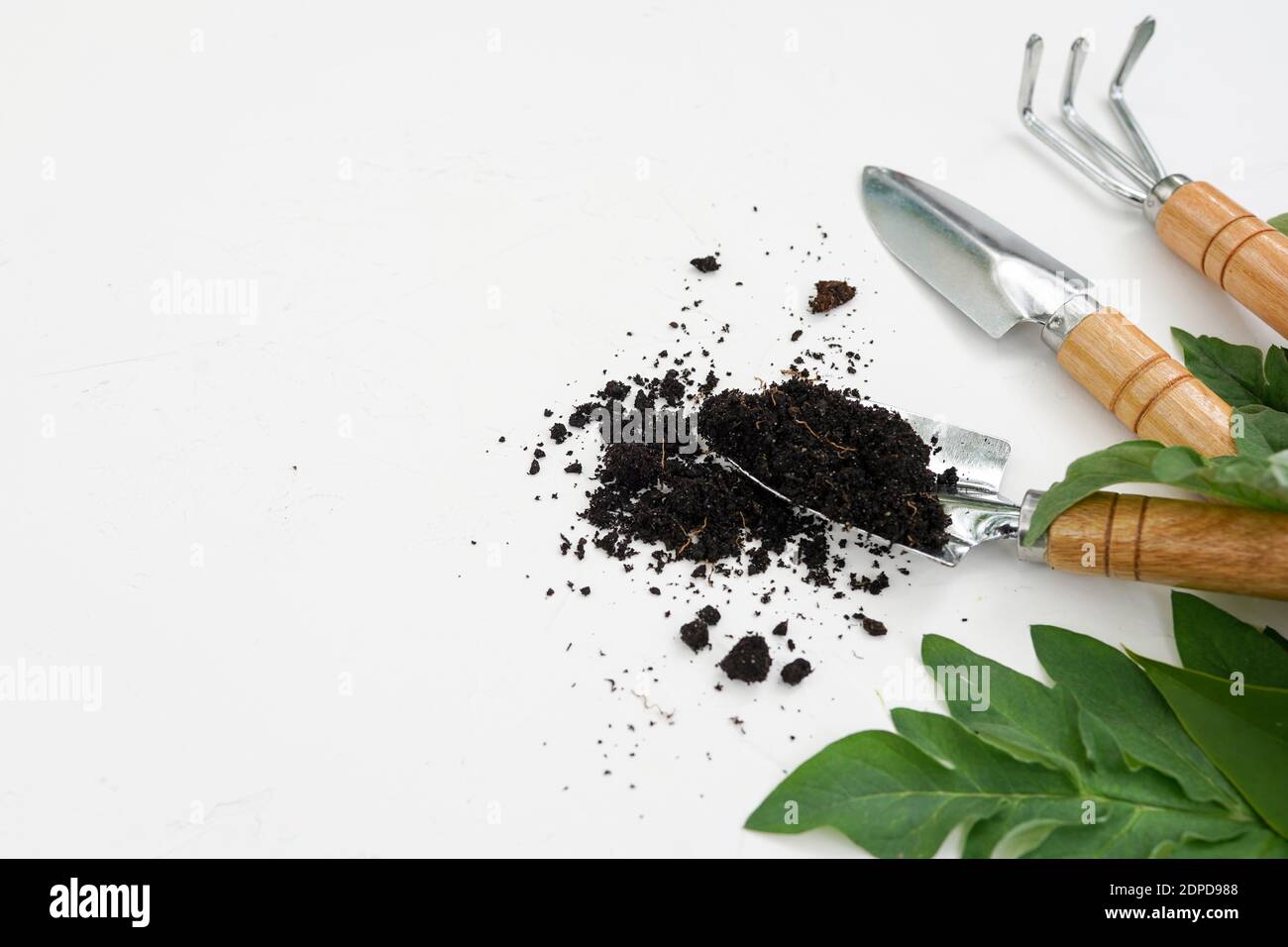 Gardening border with green leaves and garden tools on white background ...