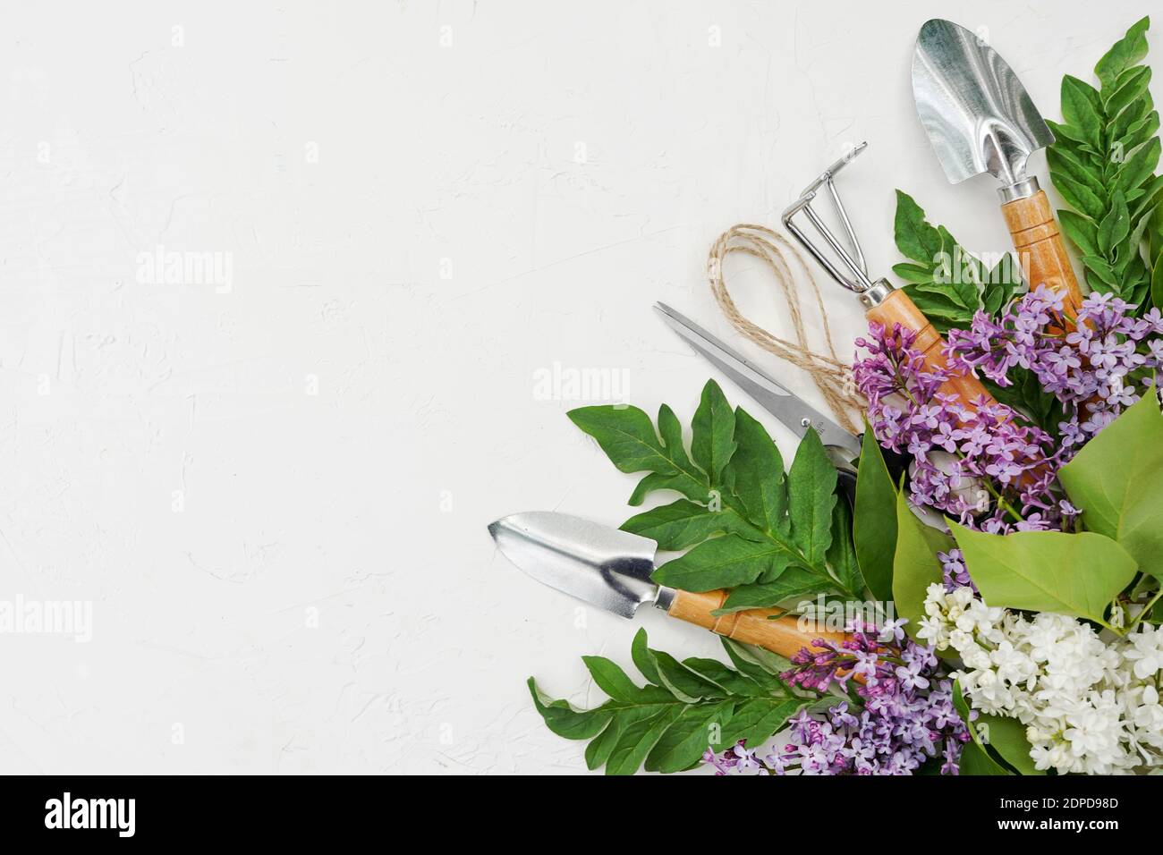 Gardening border with flowers plant and garden tools on white stone ...