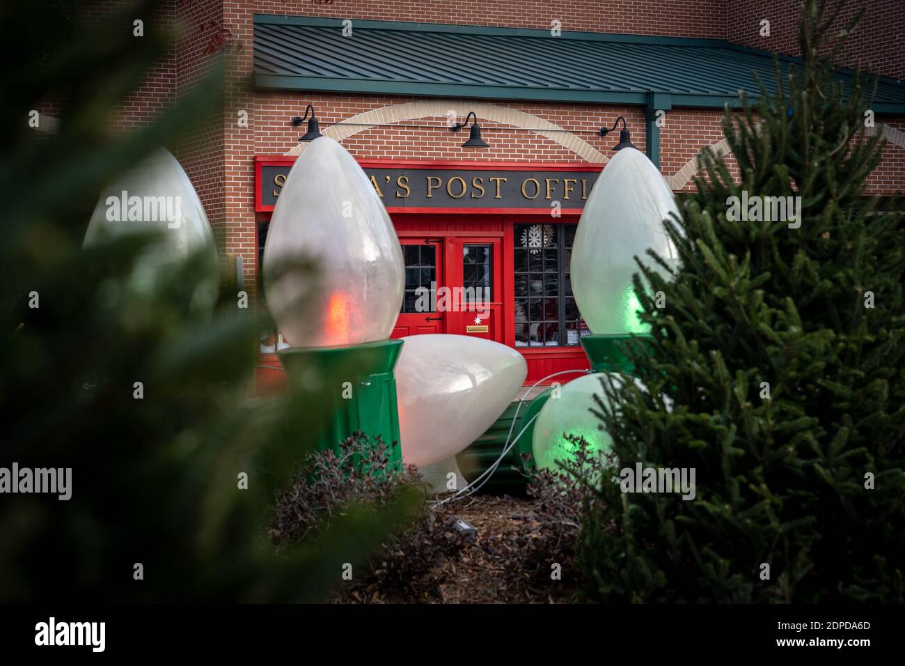 Christmas Trees With Lights and Santa's Post Office In The Background ...