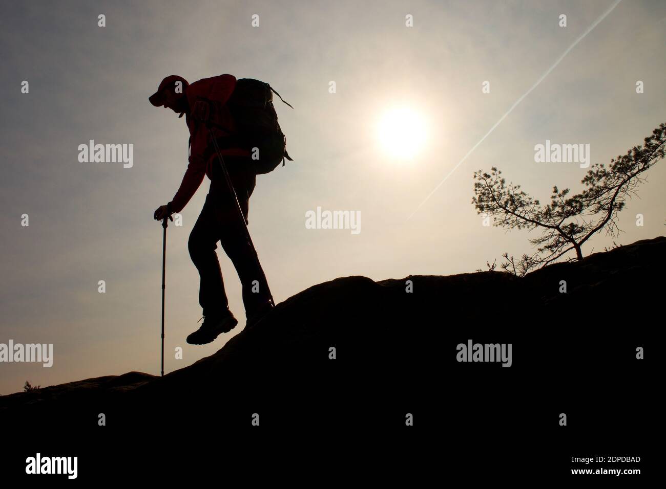 Shoe tree guide hi-res stock photography and images - Alamy
