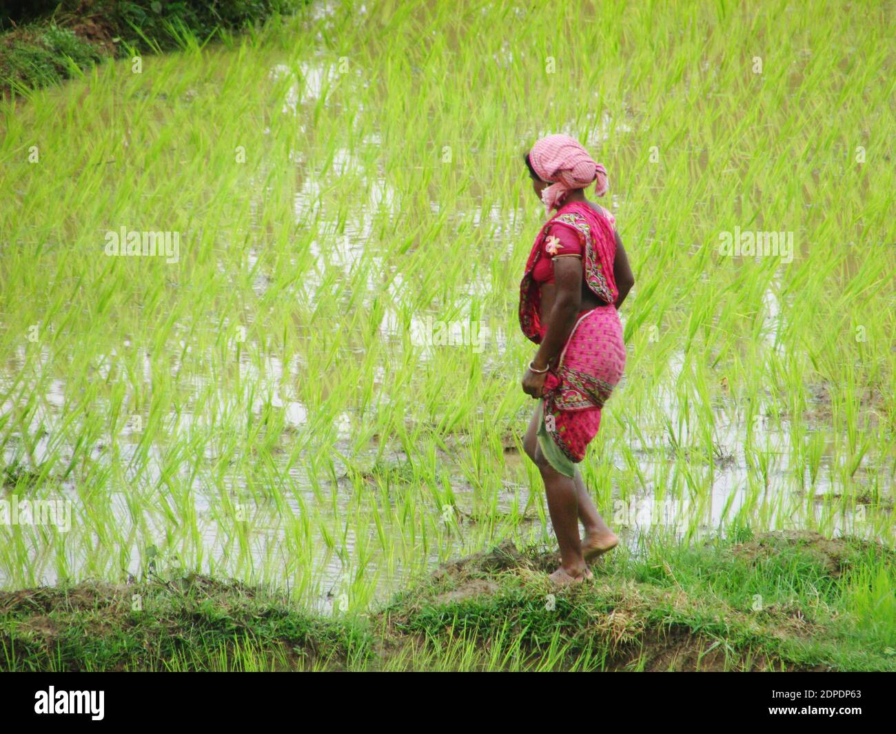 Full length stock hat hi-res stock photography and images - Alamy