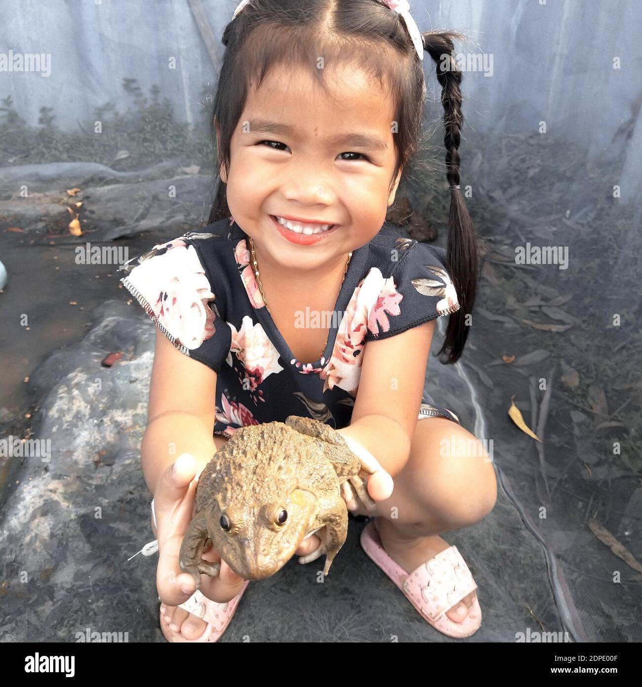 Girl holding frog smiling hi-res stock photography and images - Alamy