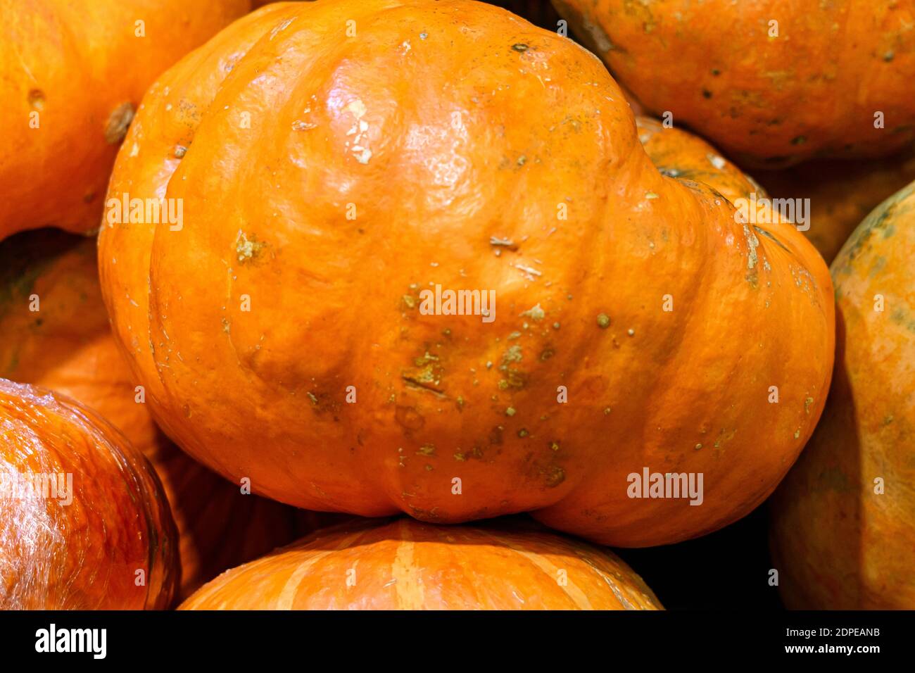 Yellow gourds hi-res stock photography and images - Alamy