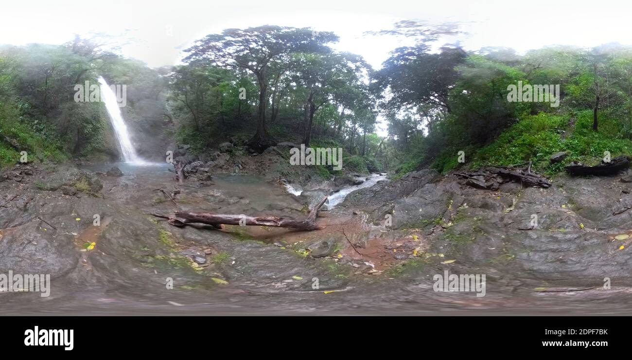 360 Jungle High Resolution Stock Photography and Images - Alamy