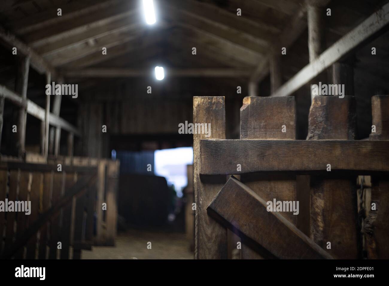 open gate in a wooden dark farm barn Stock Photo - Alamy