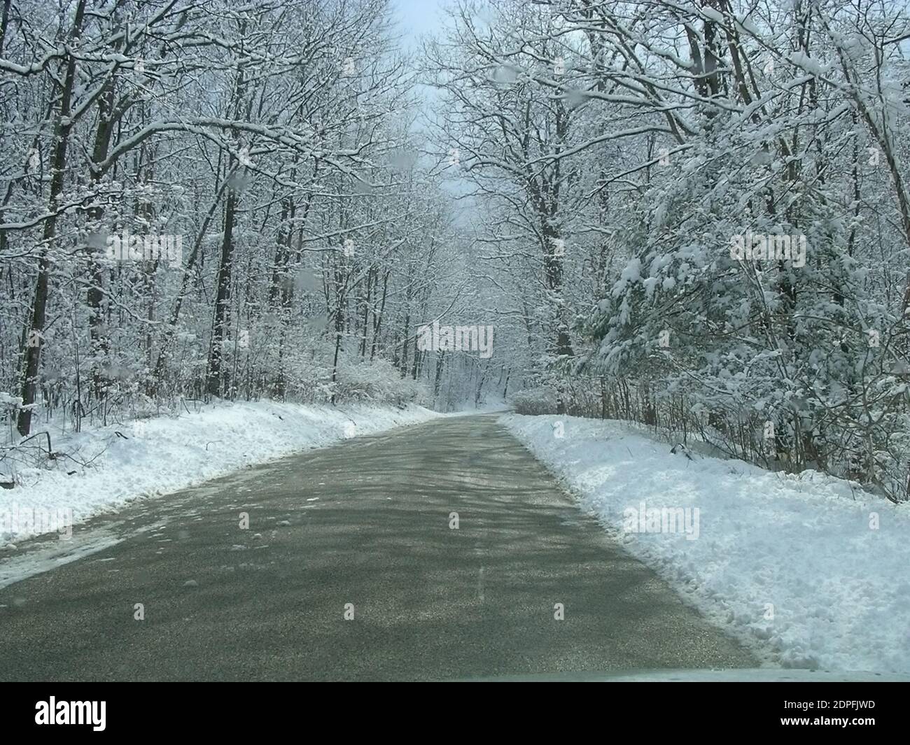 Winter road in park. Trees with snow Stock Photo - Alamy