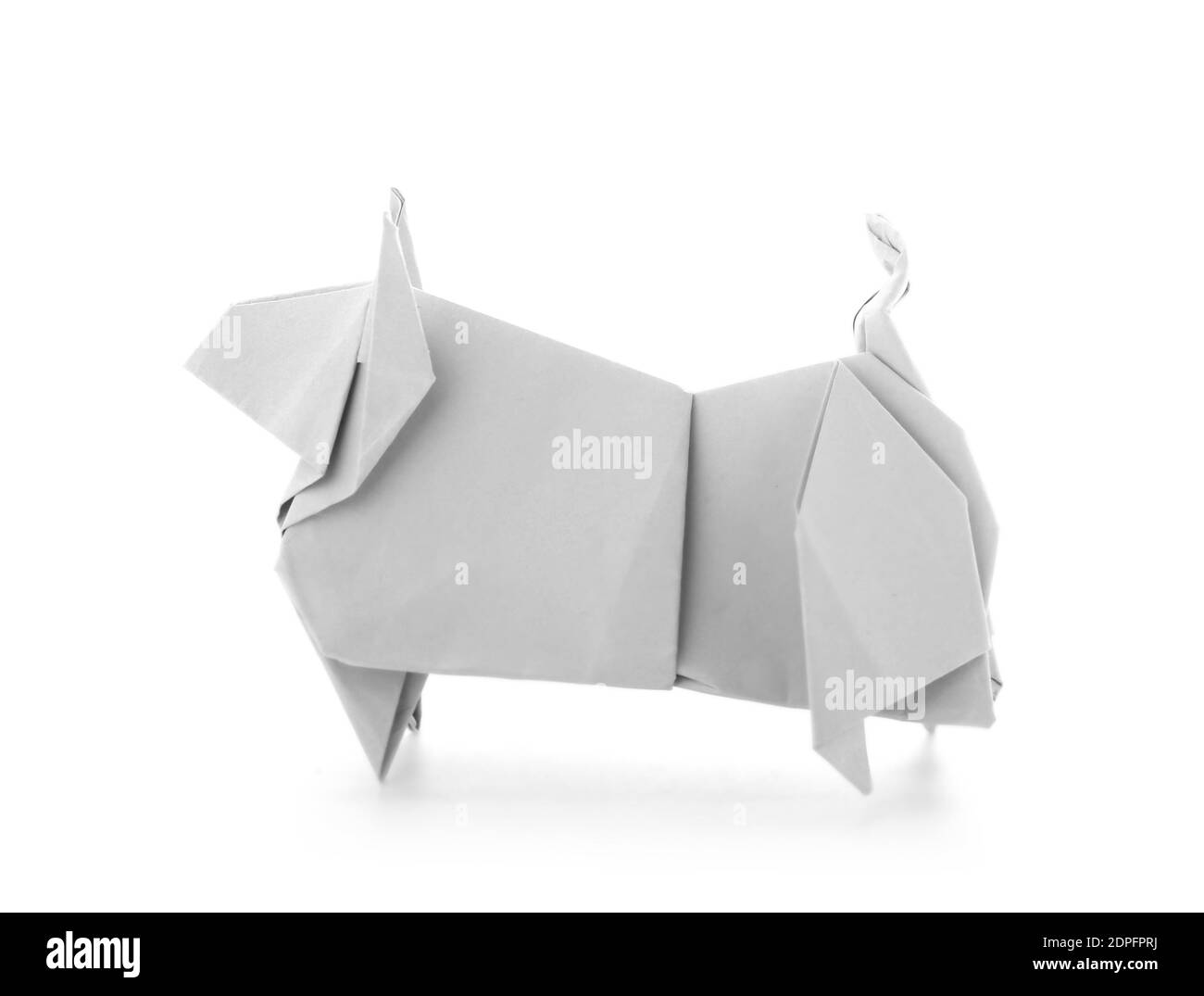 2021 year ox bull Black and White Stock Photos & Images - Alamy