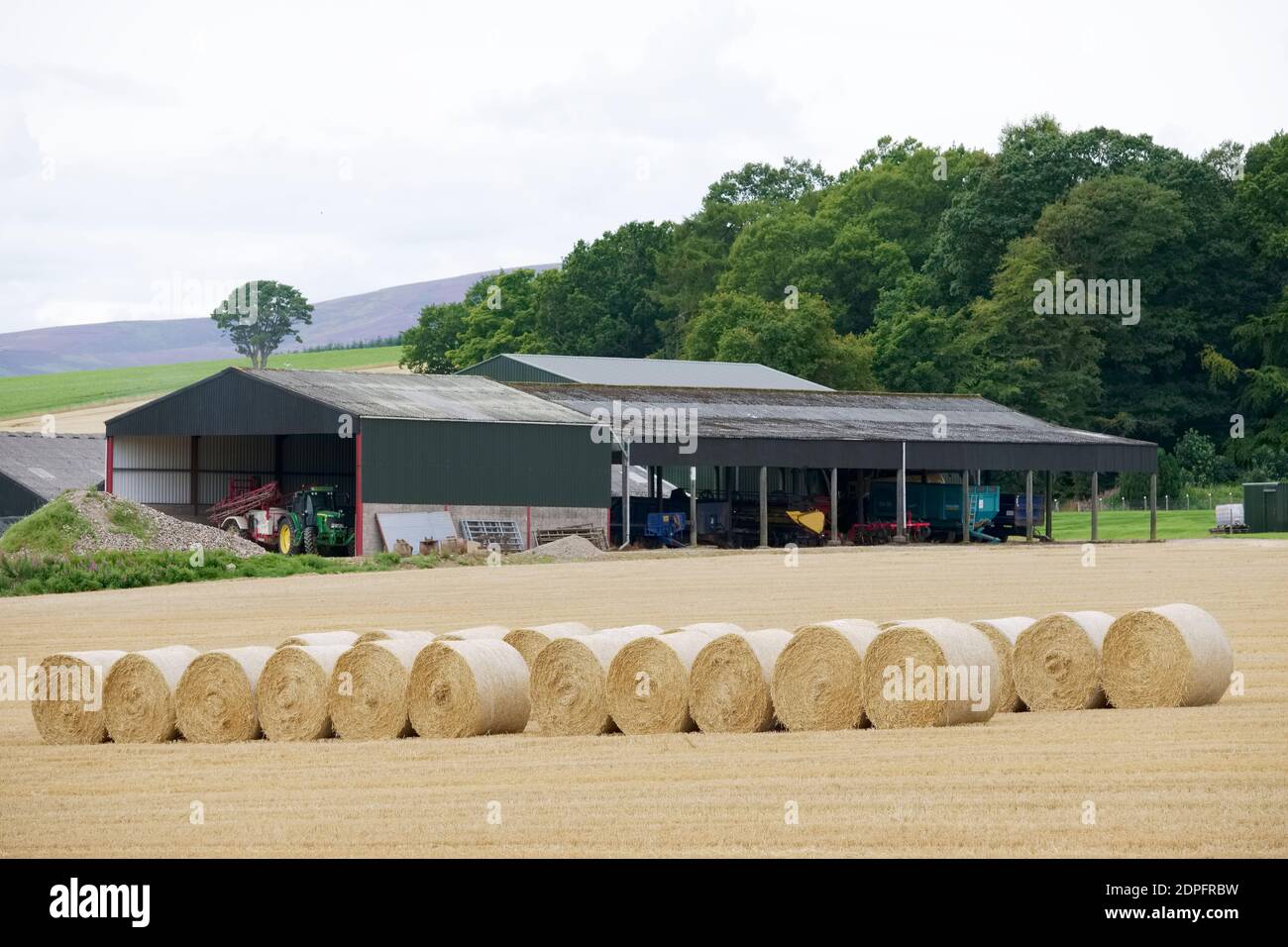 Hay crop bales rolled in field by farmer on farm for harvesting Stock ...