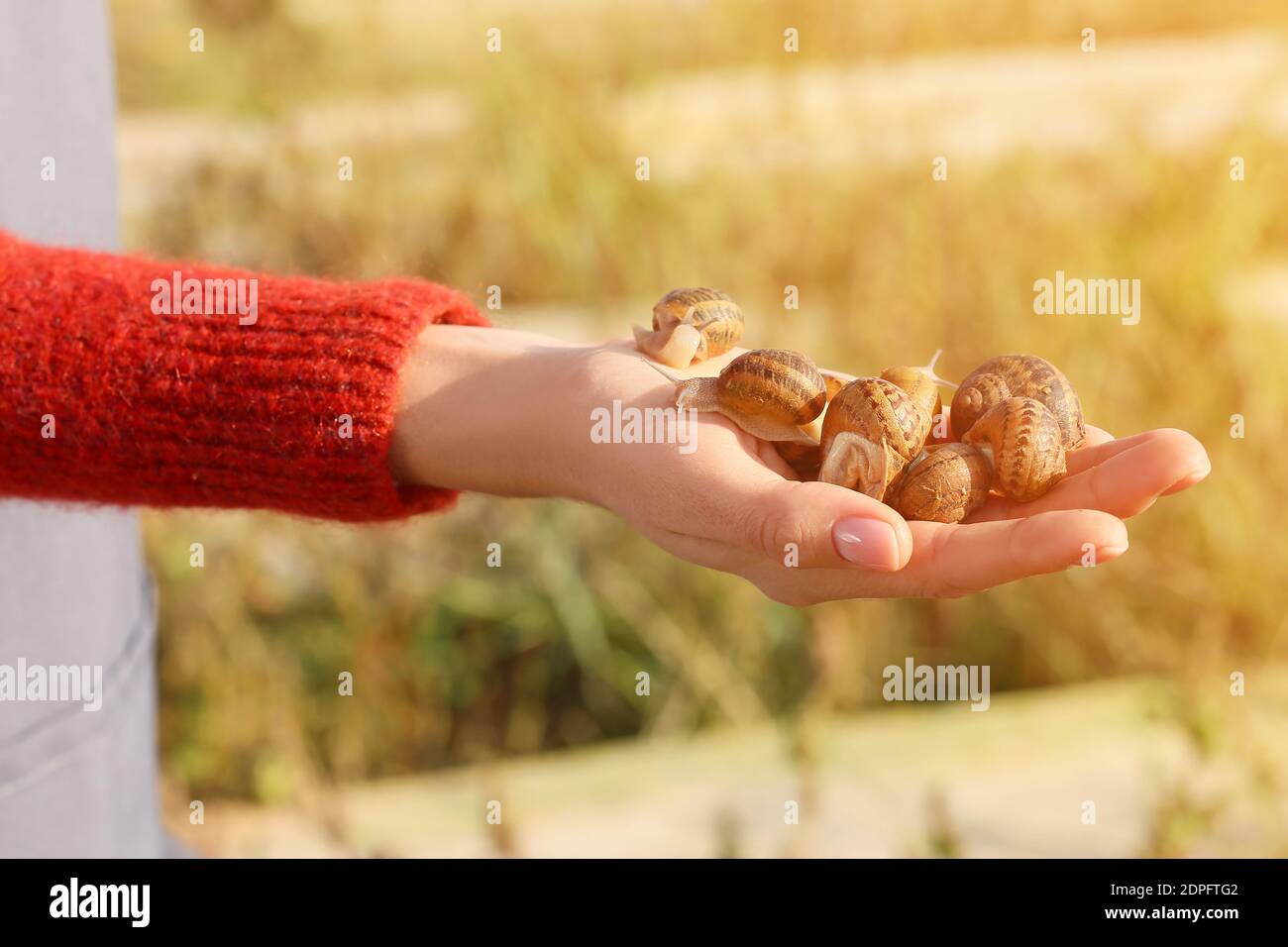 Snail worker hi-res stock photography and images - Alamy