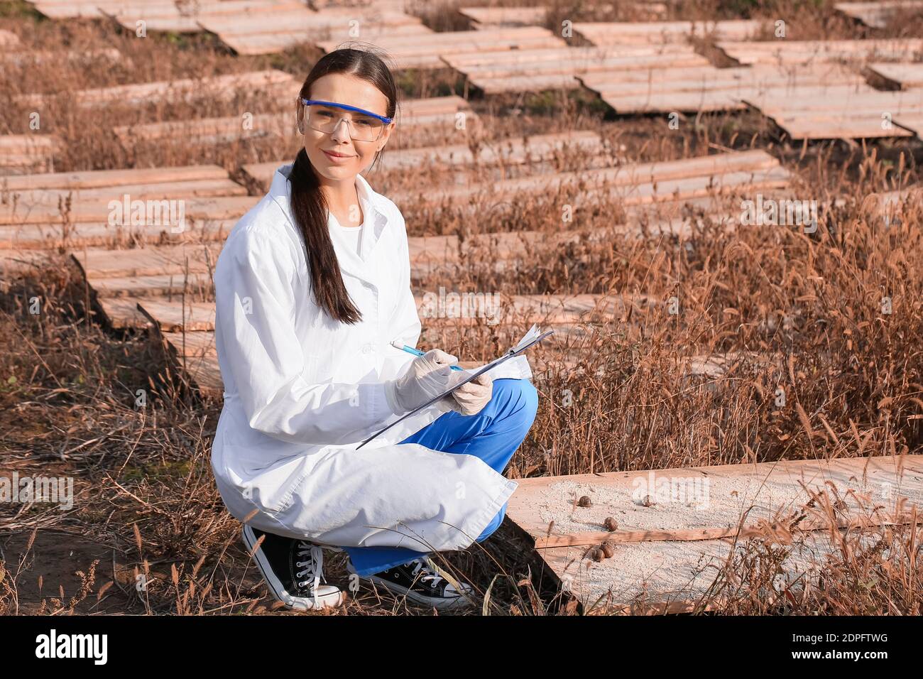 Scientist studying snails at the farm Stock Photo - Alamy