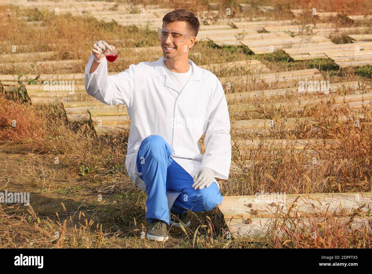 Scientist studying snails at the farm Stock Photo - Alamy