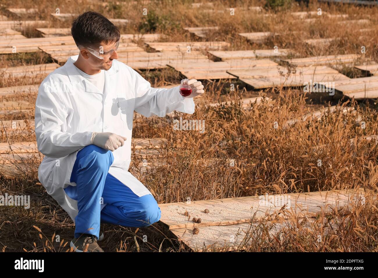 Scientist studying snails at the farm Stock Photo - Alamy