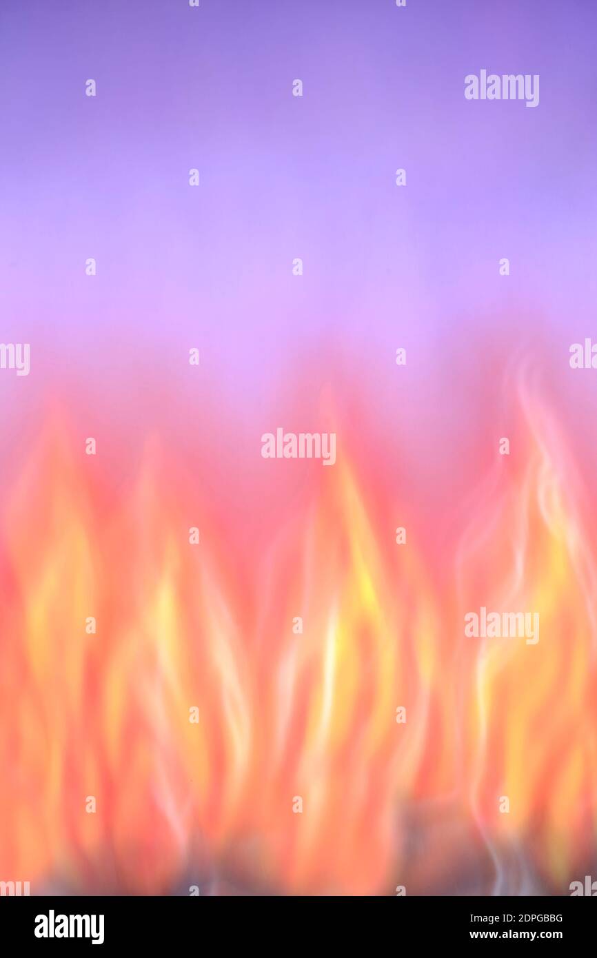 fire and flames background, flames and fire on a magenta background ...