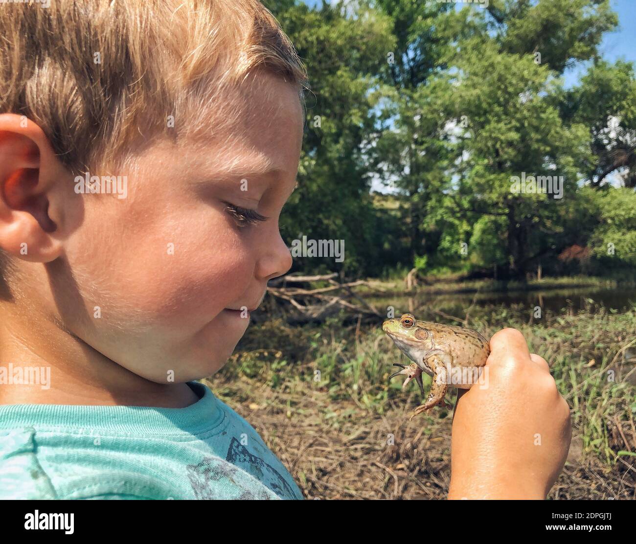 Boy holding frog hi-res stock photography and images - Alamy