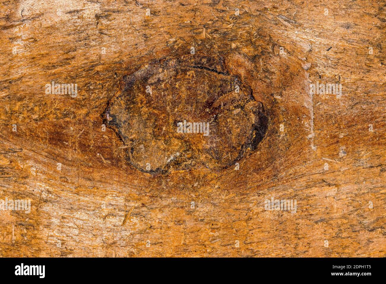 Knot Hole - Wood Texture Stock Photo - Alamy