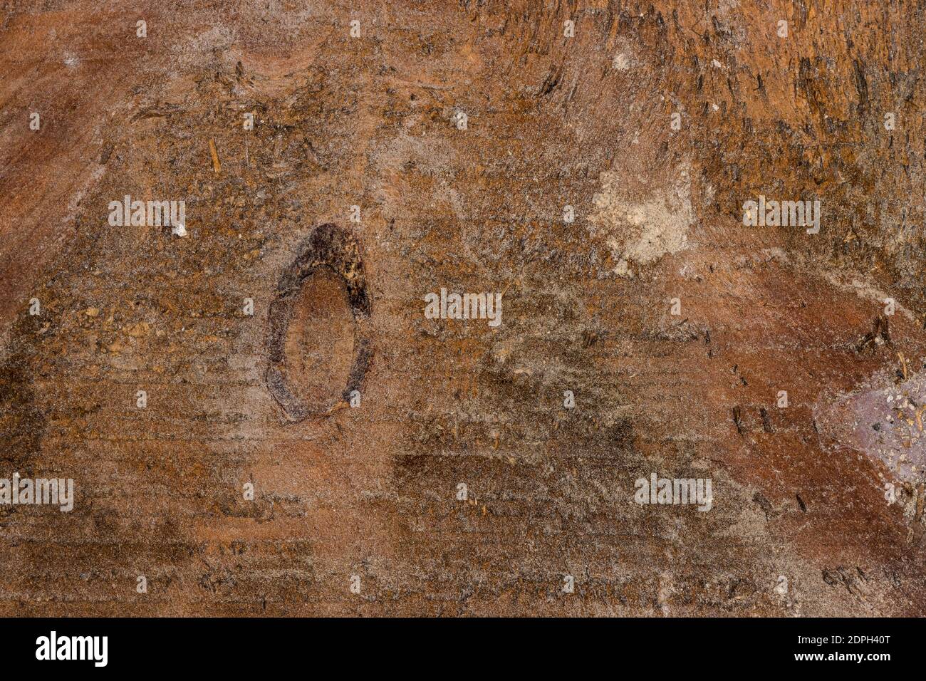 Knot Hole - Wood Texture Stock Photo - Alamy
