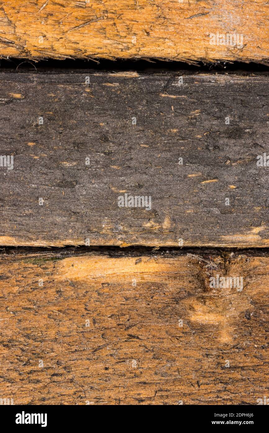 Three Board - Wood Texture Stock Photo - Alamy