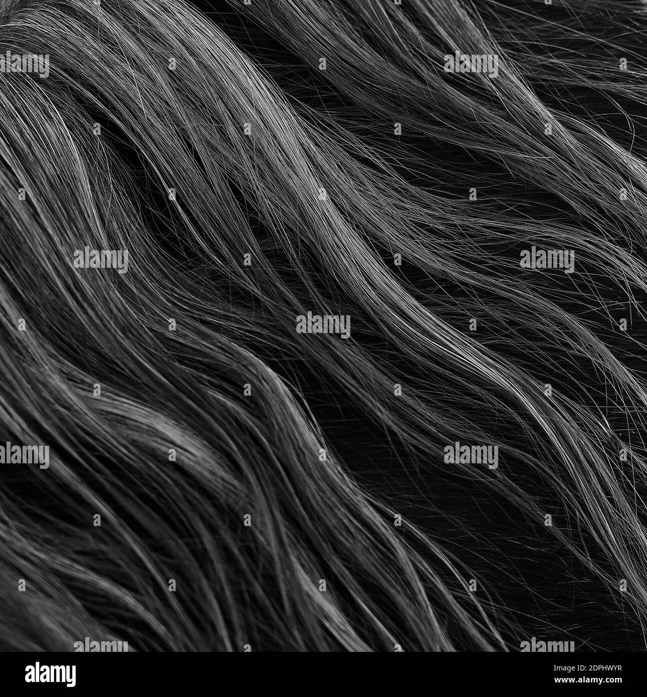 Full straight view Black and White Stock Photos & Images - Alamy