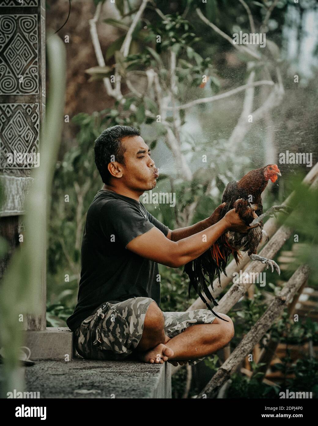 Man chicken rooster hi-res stock photography and images - Alamy