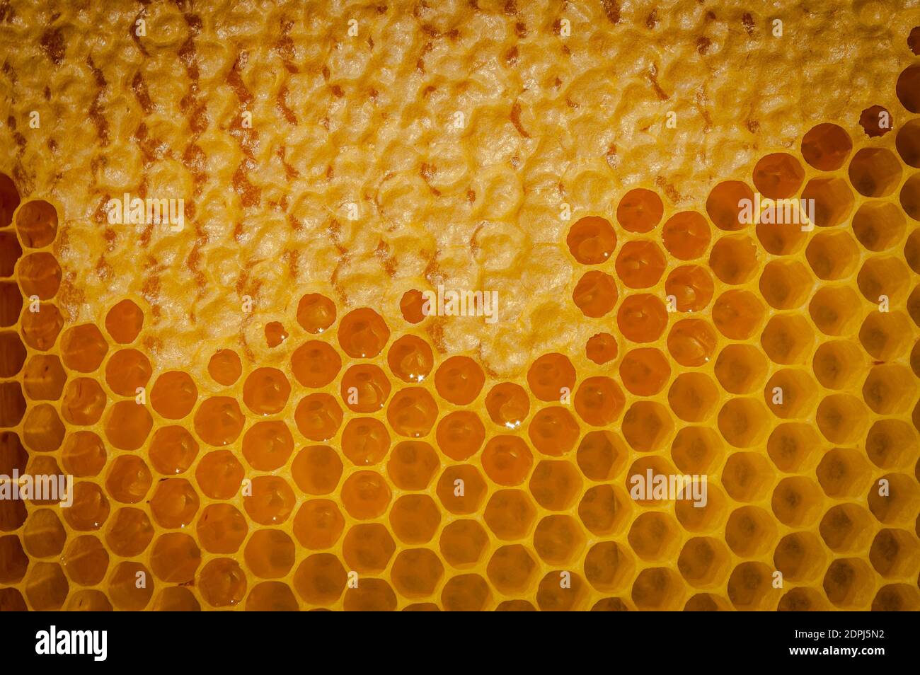 Abstract honeycomb effect hi-res stock photography and images - Alamy