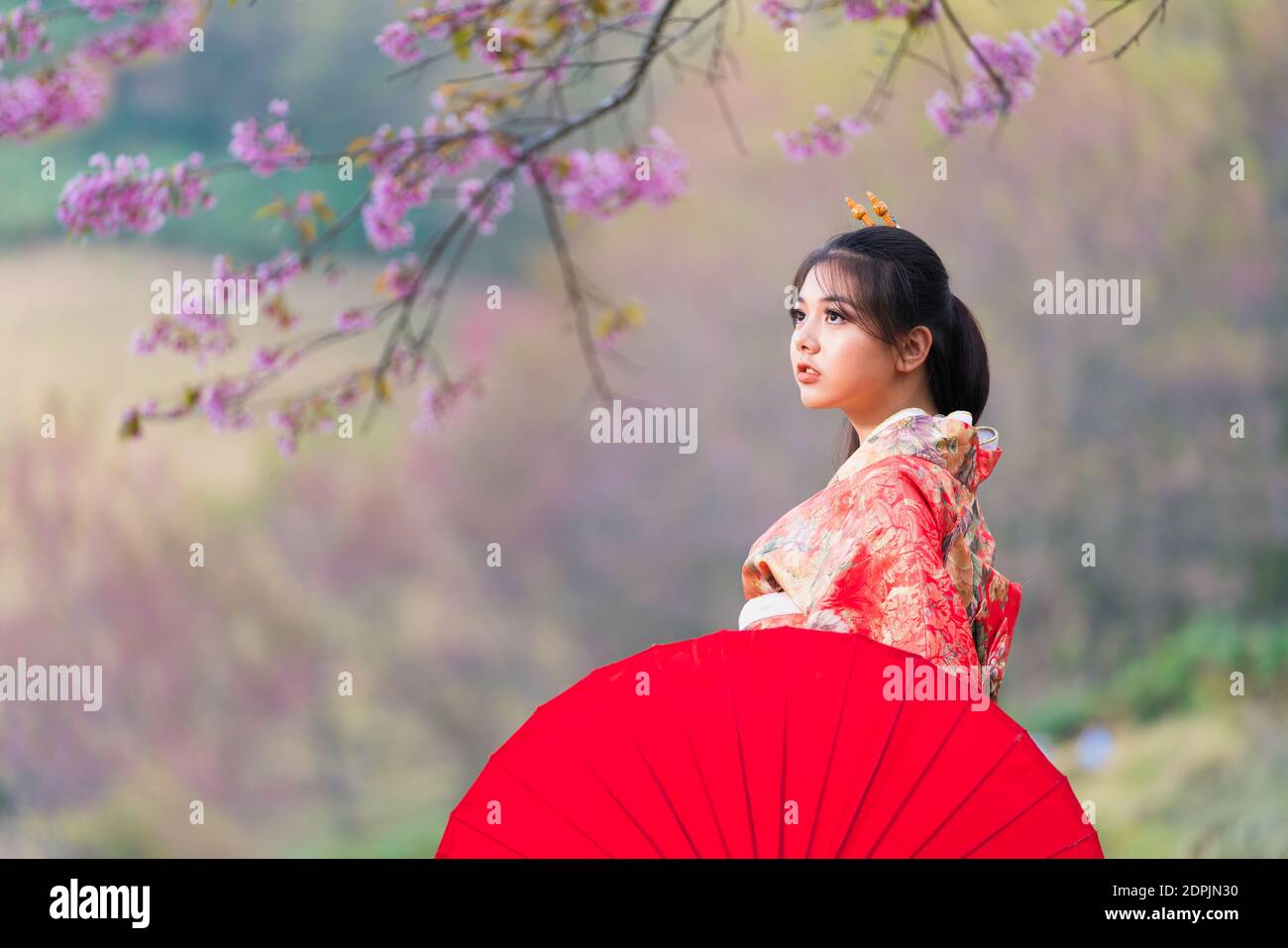 Japan cherry blossom costume hi-res stock photography and images - Alamy