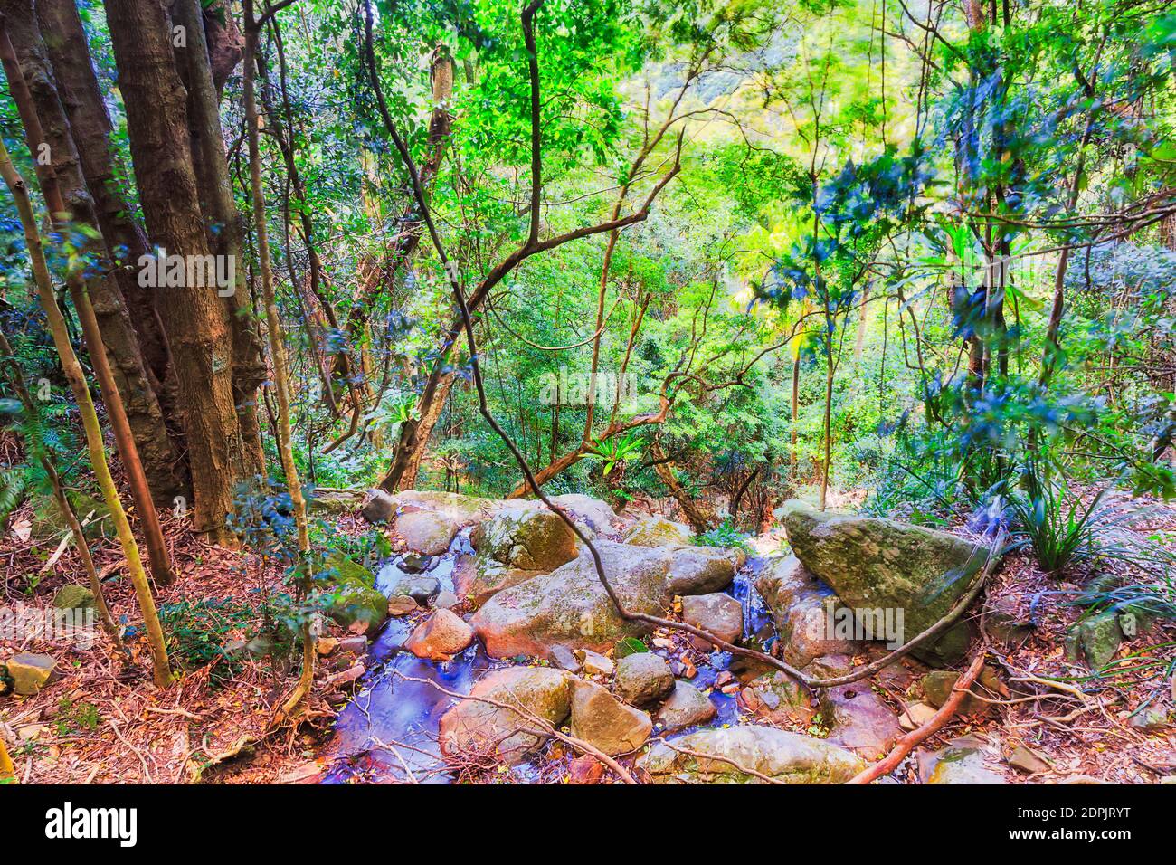 Small weak waterfall down from cliffs to Minnamurra river creek in ...