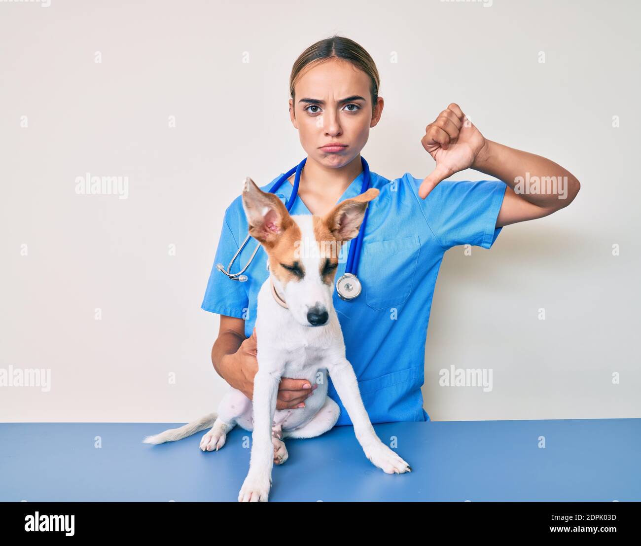 Young beautiful blonde veterinarian woman checking dog health with ...