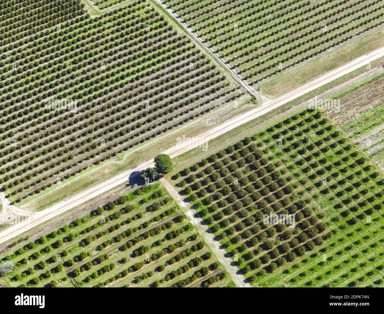 Argentina farm aerial hi-res stock photography and images - Alamy