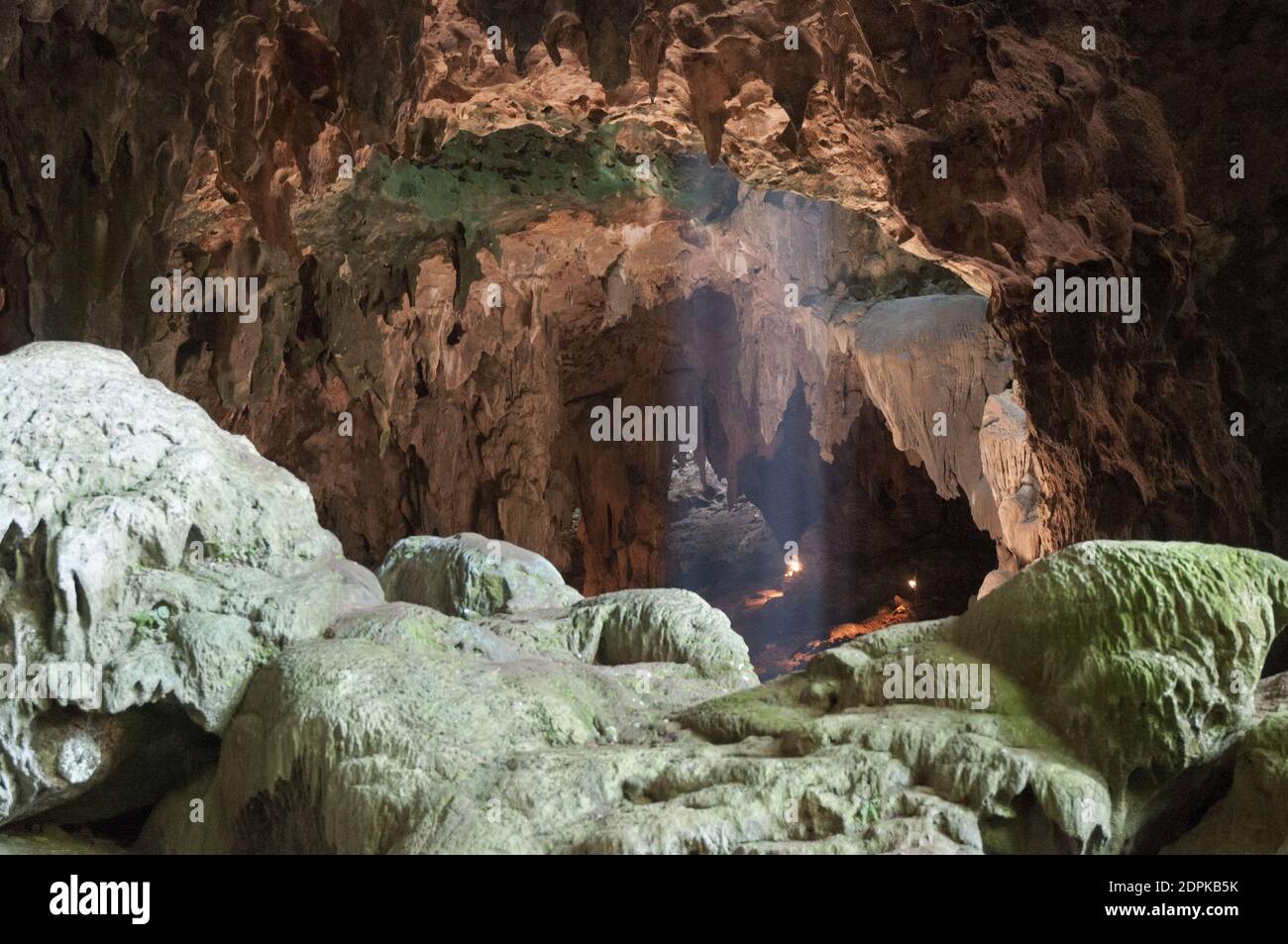 Homo luzonensis hi-res stock photography and images - Alamy