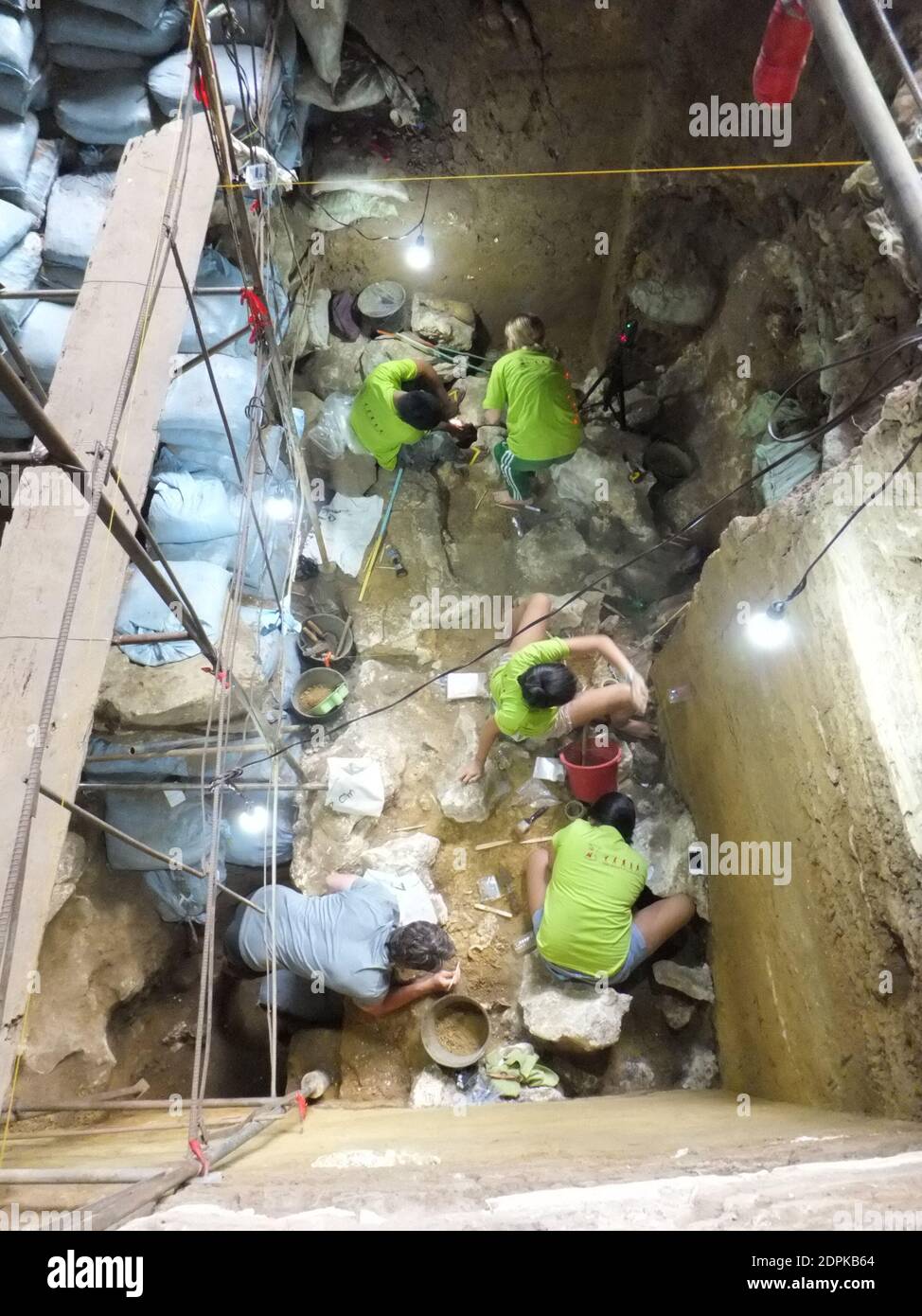 Homo luzonensis fossils hi-res stock photography and images - Alamy