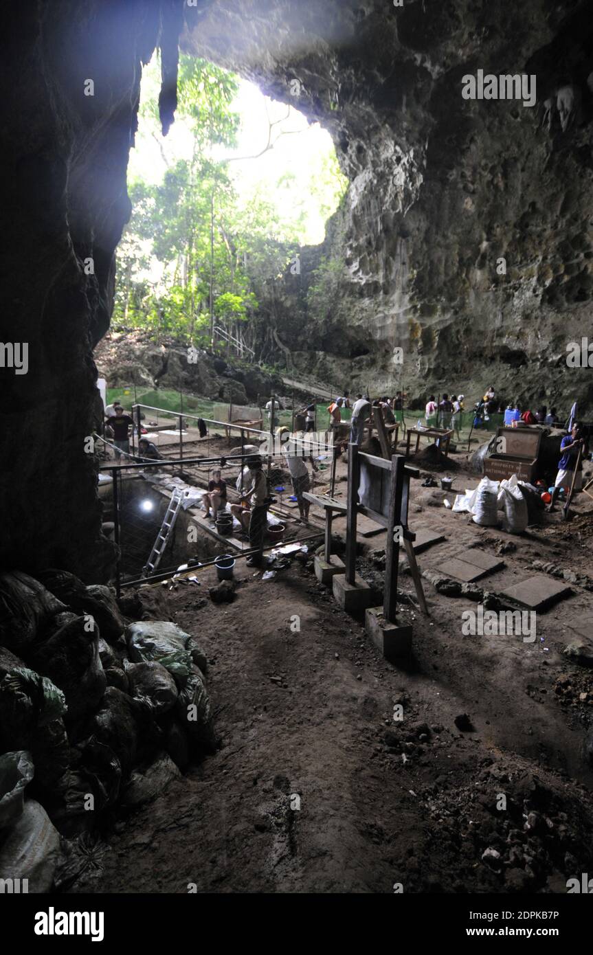 Homo luzonensis hi-res stock photography and images - Alamy