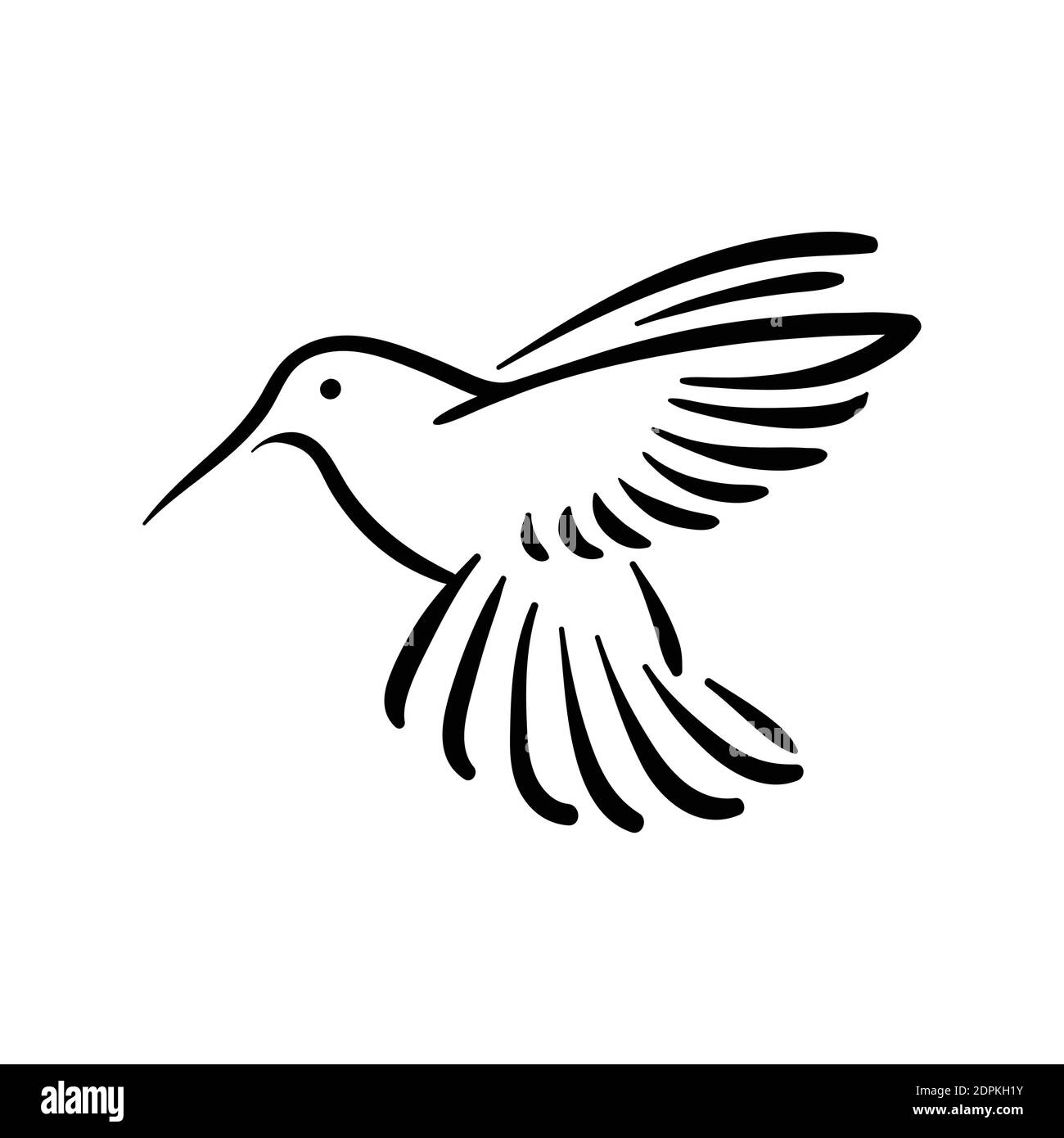 Hummingbird Flying Drawing