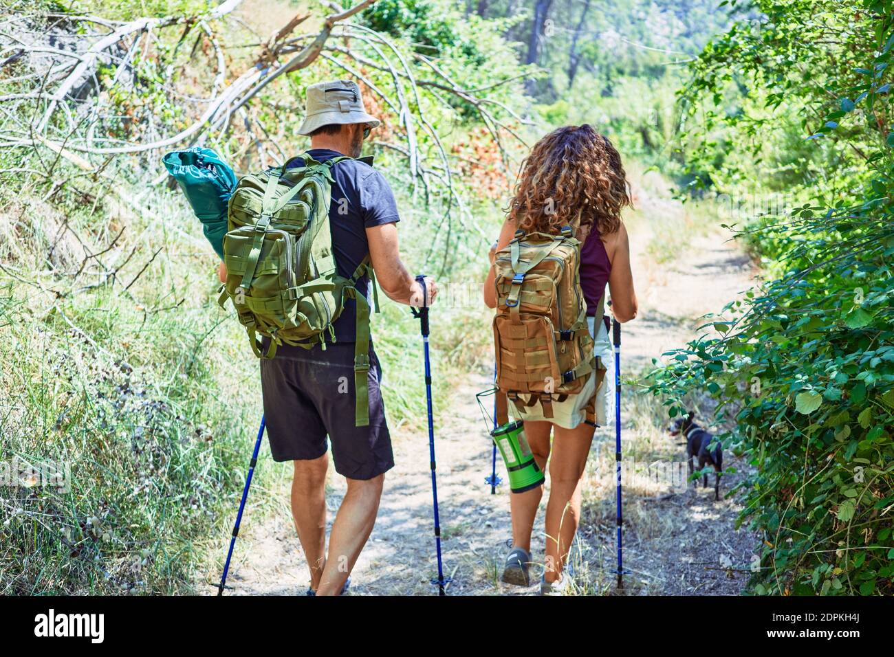 Beautiful couple of hiker on back view wearing backpack doing trekking ...