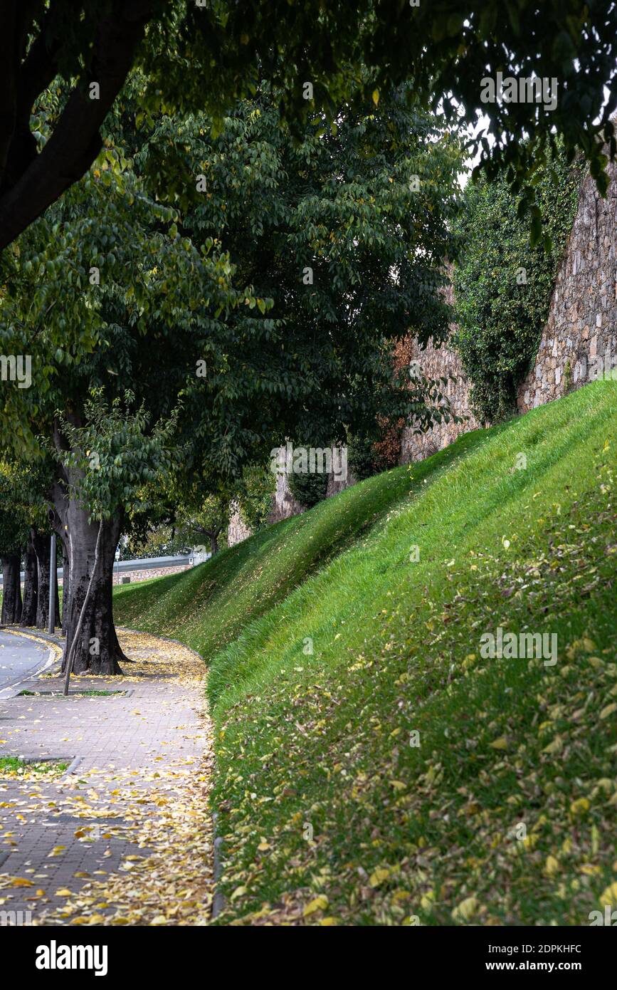 sidewalk under the trees and sided by grass Stock Photo - Alamy