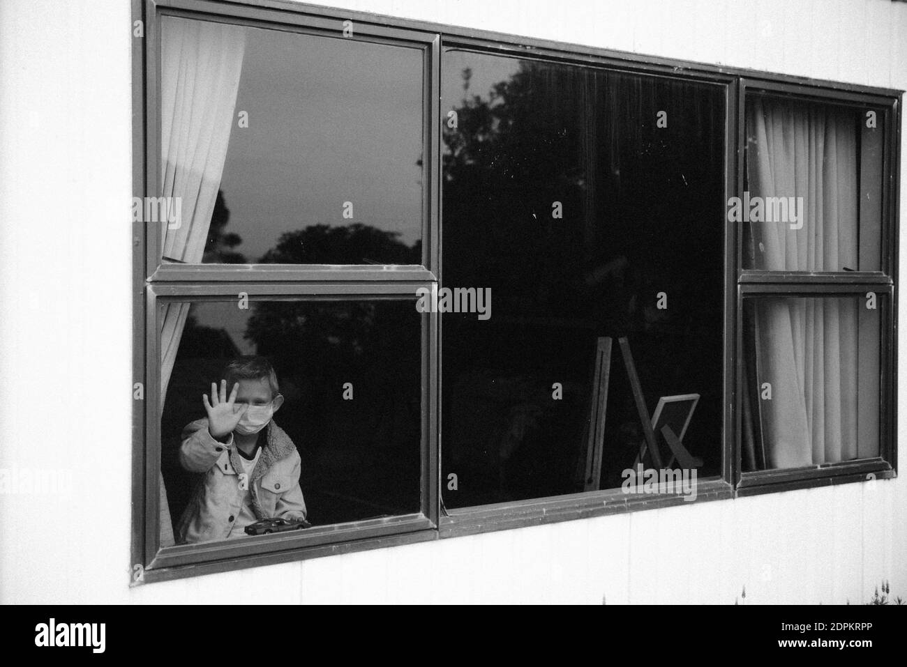 Cat looking through window Black and White Stock Photos & Images - Alamy