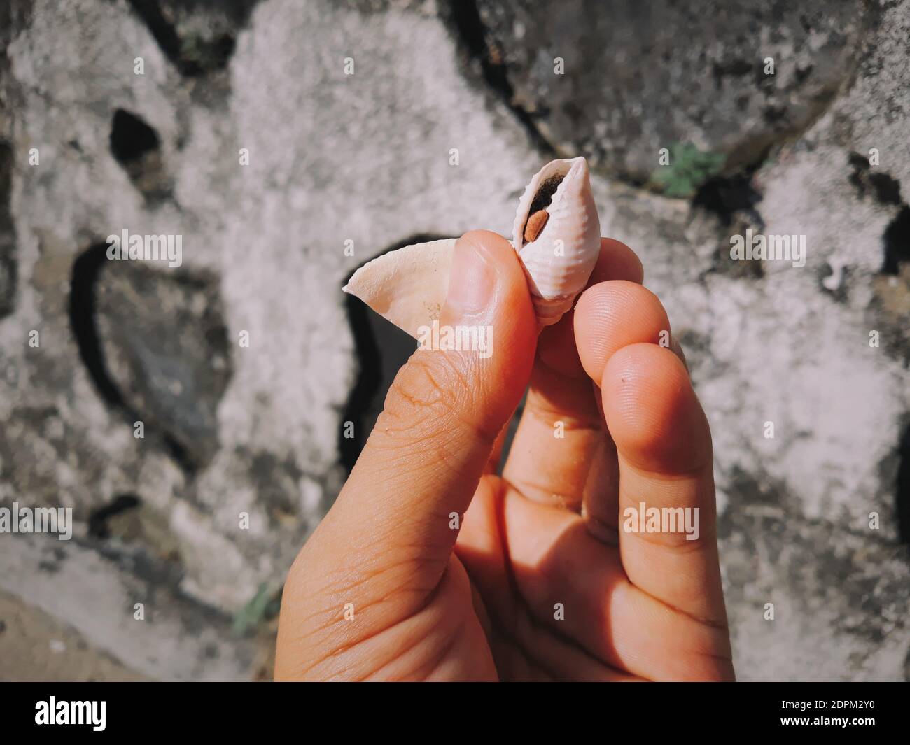 Balai beach hi-res stock photography and images - Alamy