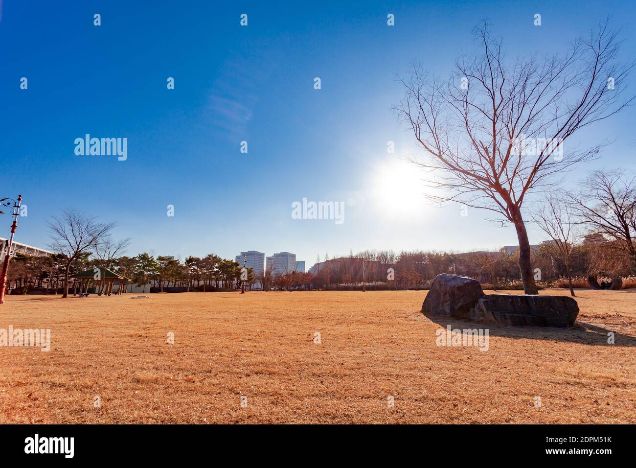 Daejeon hi-res stock photography and images - Alamy