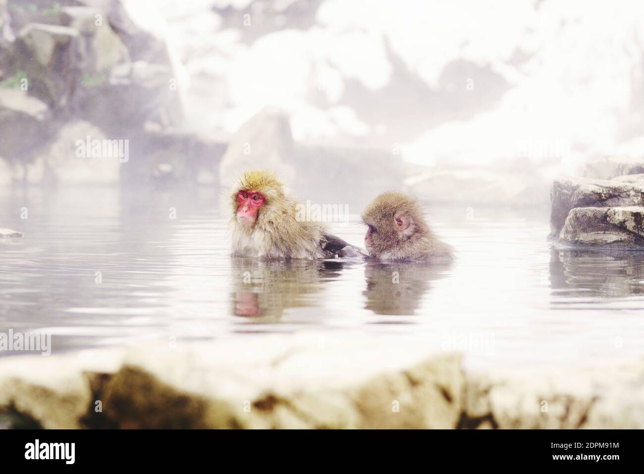 Deep onsen hi-res stock photography and images - Alamy