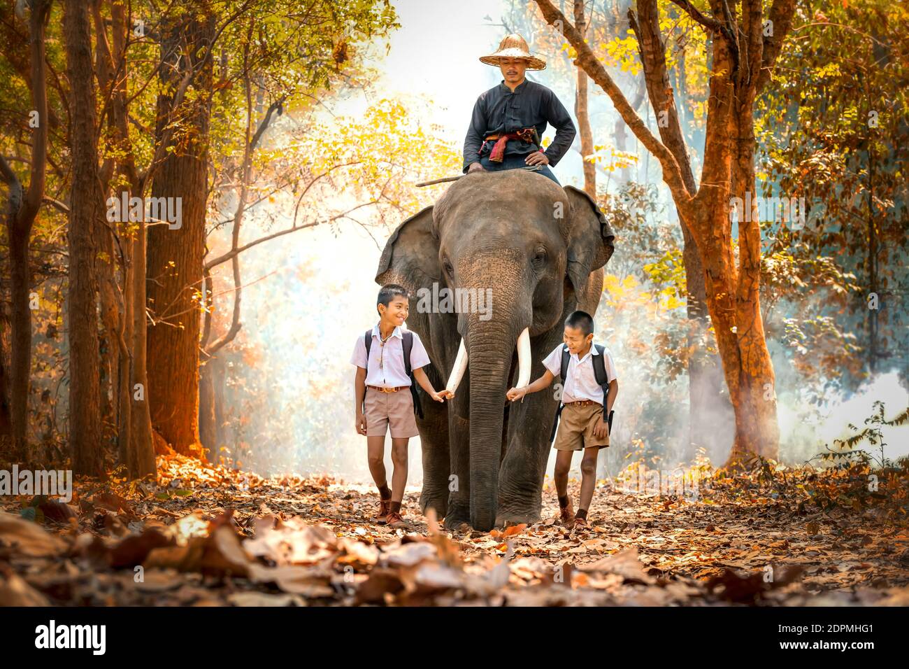 Indian Man Sitting On Elephant High Resolution Stock Photography and ...