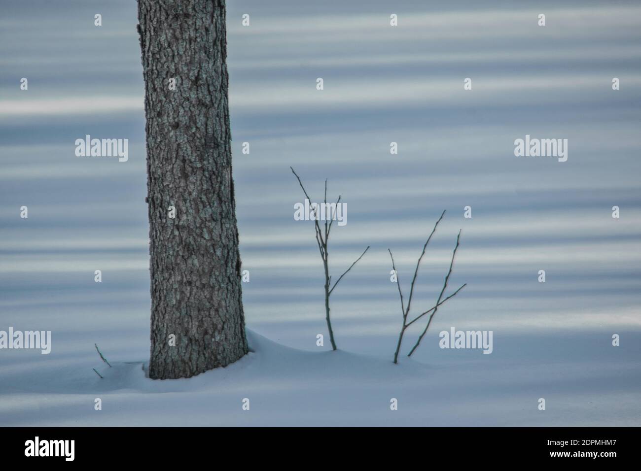 Beautiful nature snow images hi-res stock photography and images - Alamy